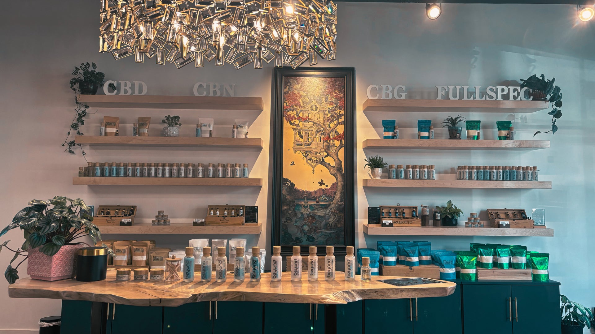 BEYOND WELLNESS - The purest, most potent CBD and full spectrum